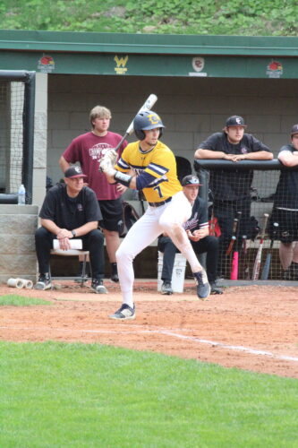 Wheeling Central Baseball Clinches Sectional Title | News, Sports, Jobs ...